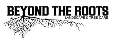 Beyond The Roots Landscape & Tree Care: Lawn Care & Lawn Maintenance